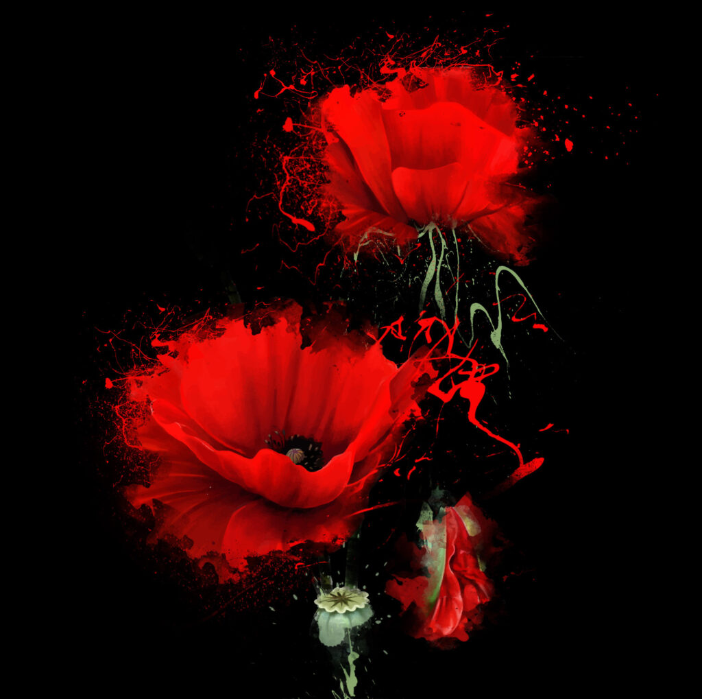 Red Graffiti Flower Print Splashback - Express Toughening Ltd